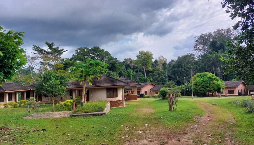 Bia National Park: A remarkable destination for wildlife and culture in ...